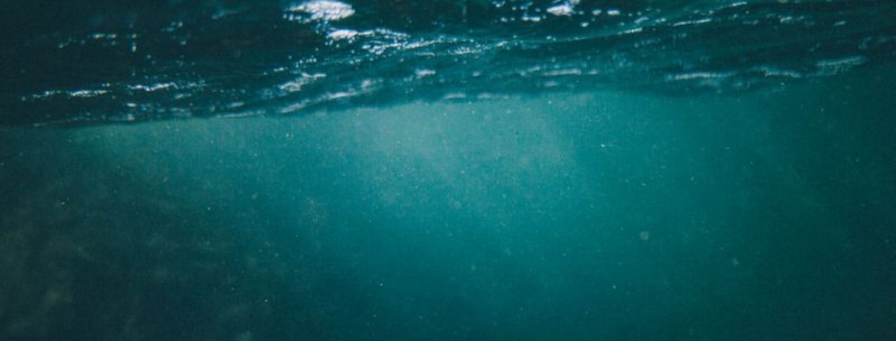 Salt-Free Water Systems Blog Archives | Puronics Pure Water Solutions